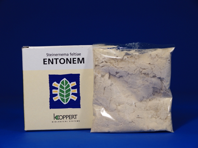 Entonem - Vos Capelle