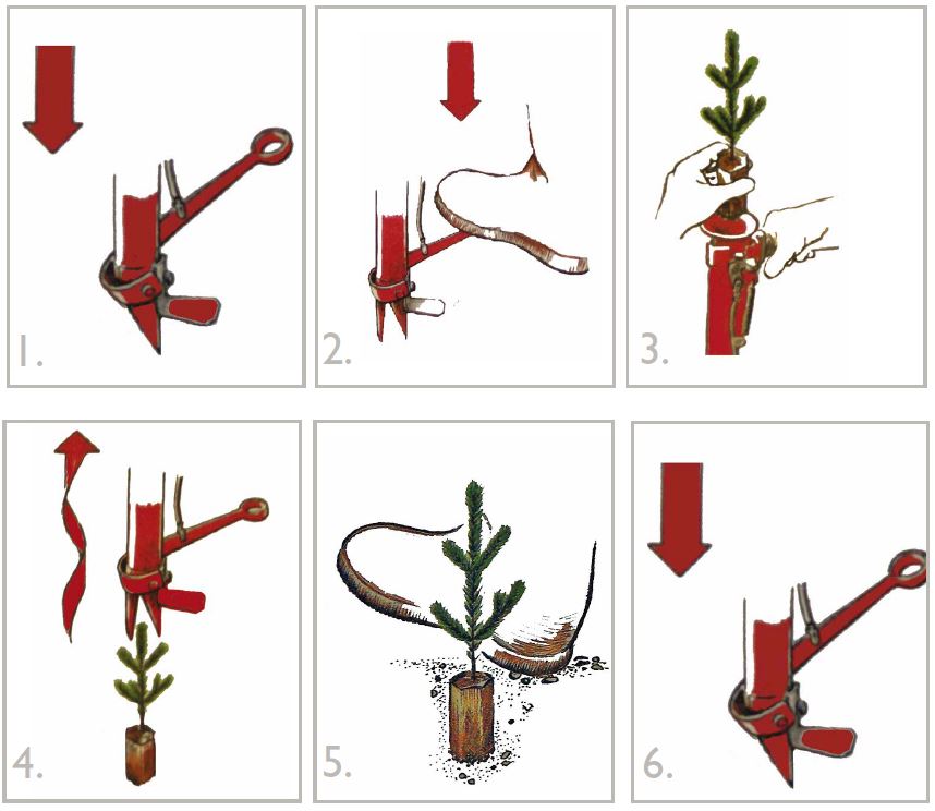 Pottiputki plantbuis - Vos Capelle
