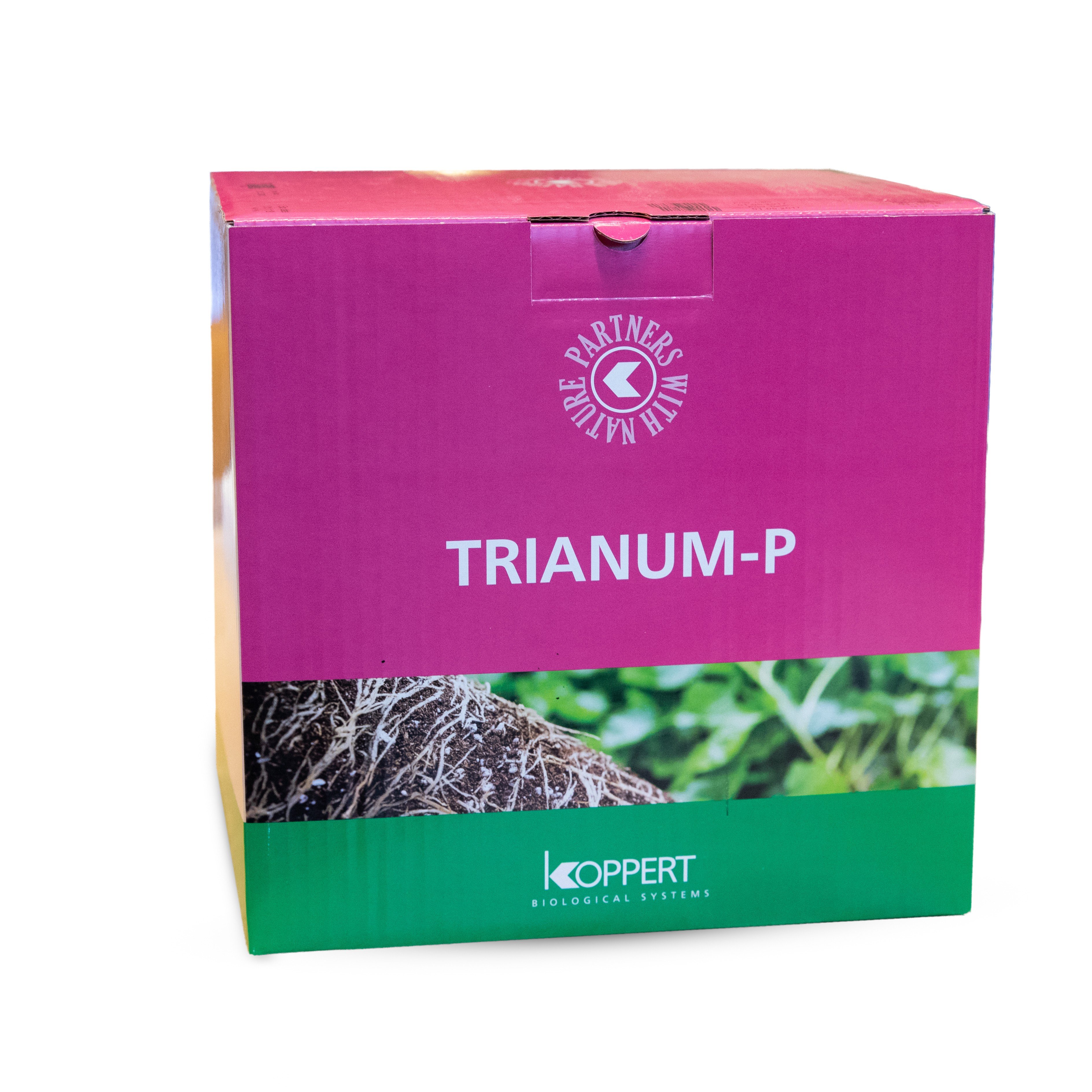 Trianum - Vos Capelle